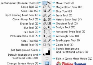 Pengertian dan Fungsi 50+ Tools Photoshop - Bintang Inspirasi